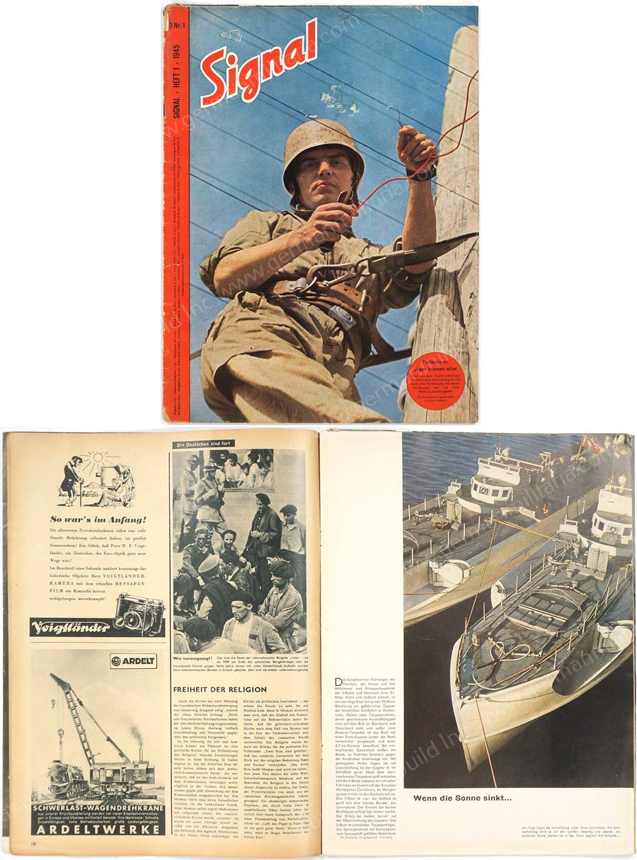 The Collector's Guild