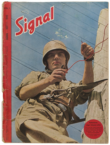 The Collector's Guild