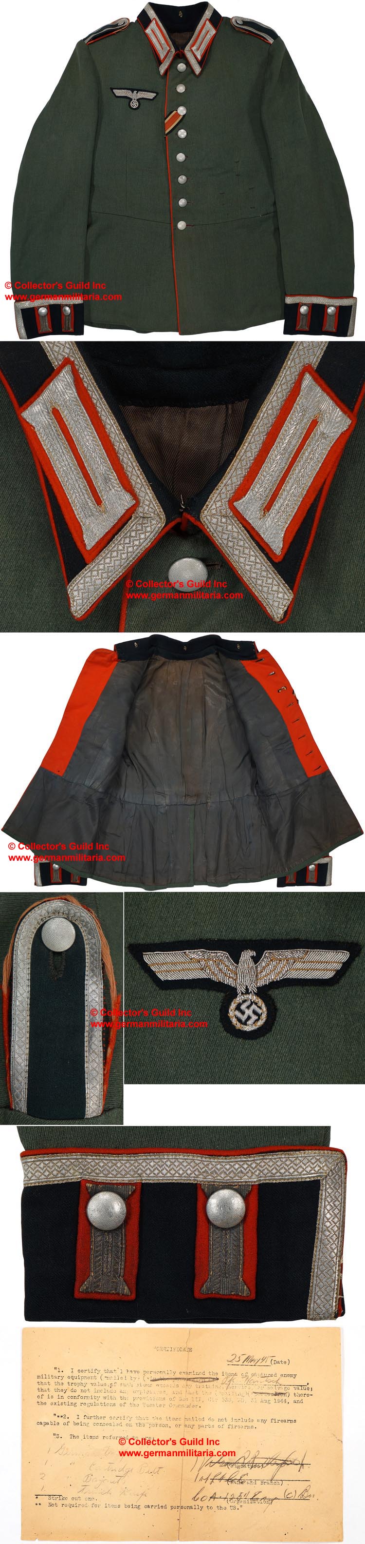 The Collector's Guild