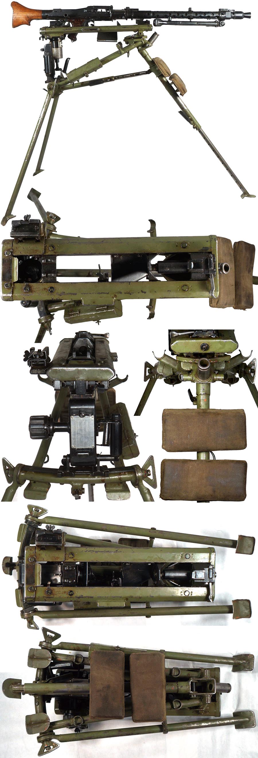 The Collector's Guild