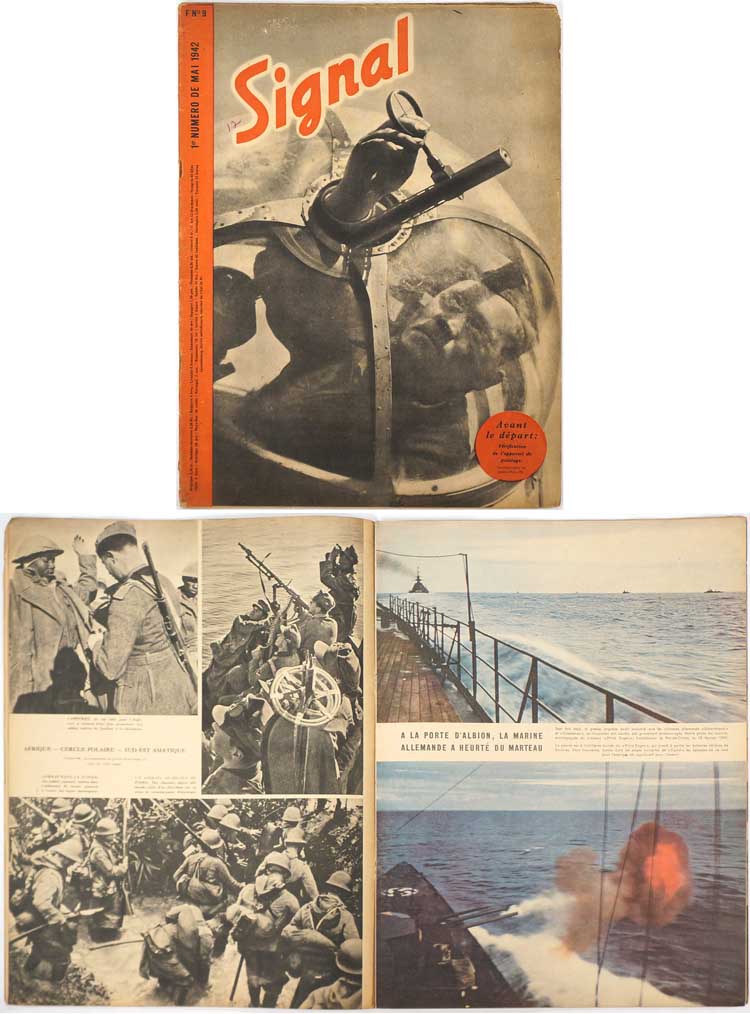 The Collector's Guild