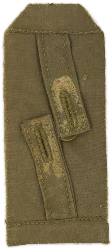 The Collector's Guild