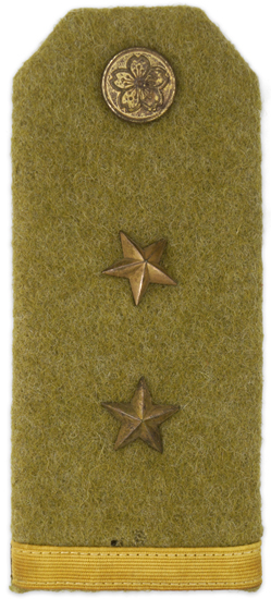 The Collector's Guild