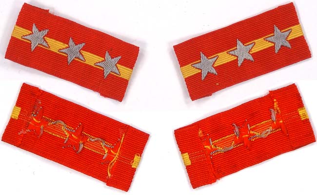 The Collector's Guild